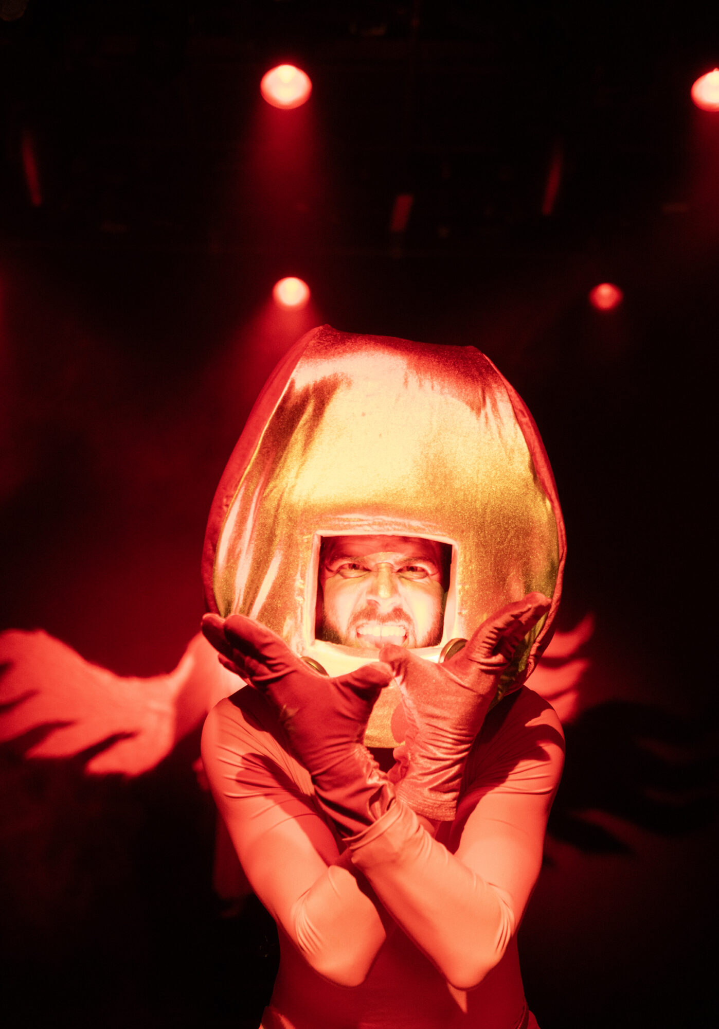 Carnival - The School of Visual Theater